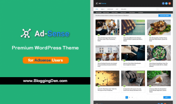 12+ Best Adsense optimized WordPress themes in August 2025